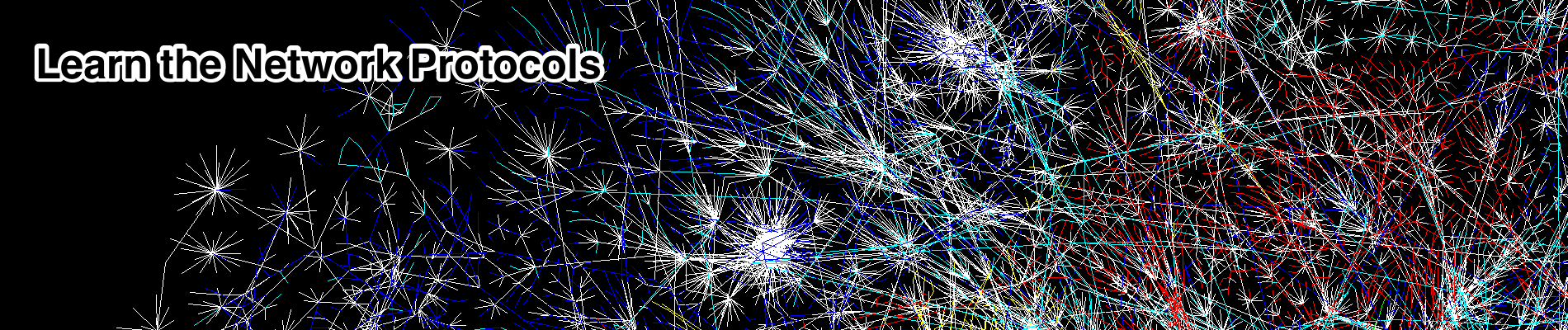 On-Line School of Network Sciences